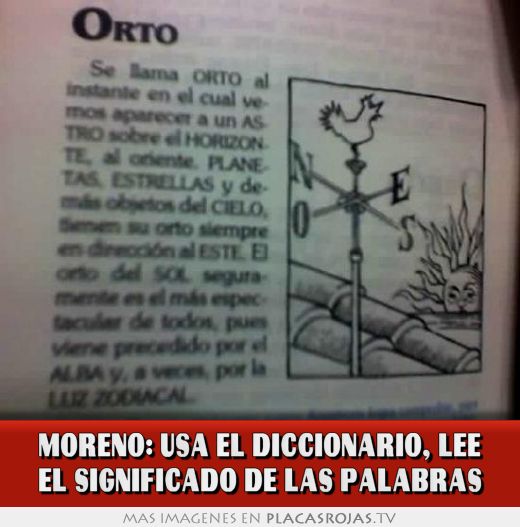 MORENO: USA EL DICCIONARIO, LEE EL SIGNIFICADO DE LAS PALABRAS - Placas ...
