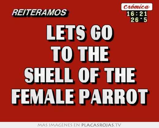 Lets go to the shell of the female parrot - Placas Rojas TV