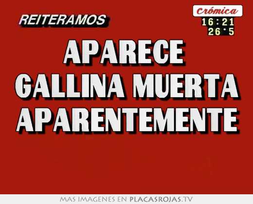 Aparece gallina muerta aparentemente - Placas Rojas TV