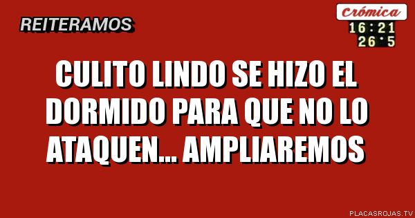 Culito Lindo Se Hizo El Dormido Para Que No Lo Ataquen Ampliaremos