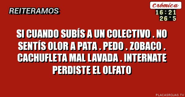 SI CUANDO SUBÍS A UN COLECTIVO . NO SENTÍS OLOR A PATA . PEDO . ZOBACO ...