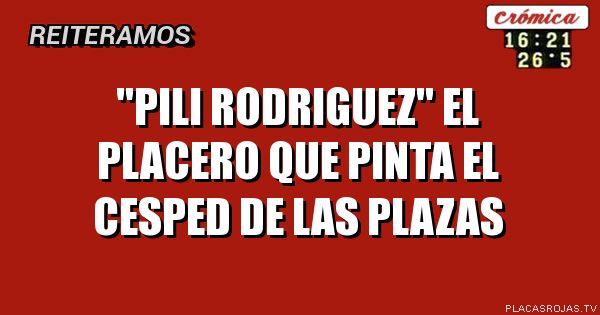 "Pili rodriguez" el placero que pinta el cesped de las plazas - Placas ...