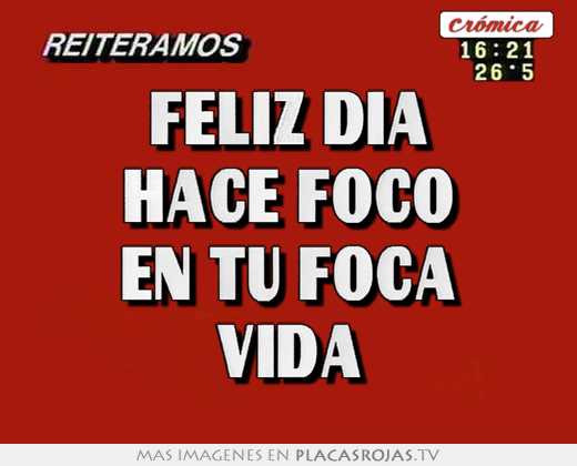 Feliz dia hace foco en tu foca vida - Placas Rojas TV