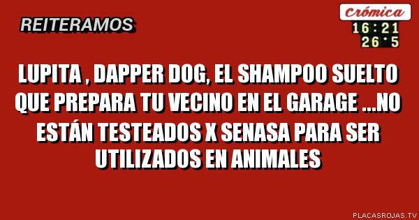 Lupita , DAPper Dog, el Shampoo suelto que prepara tu vecino en el ...