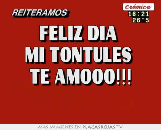 Feliz dÍa mi tontules te amooo!!! - Placas Rojas TV