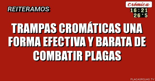 Trampas cromáticas una forma efectiva y barata de combatir plagas ... Trampas cromáticas una forma efectiva y barata de combatir plagas ...